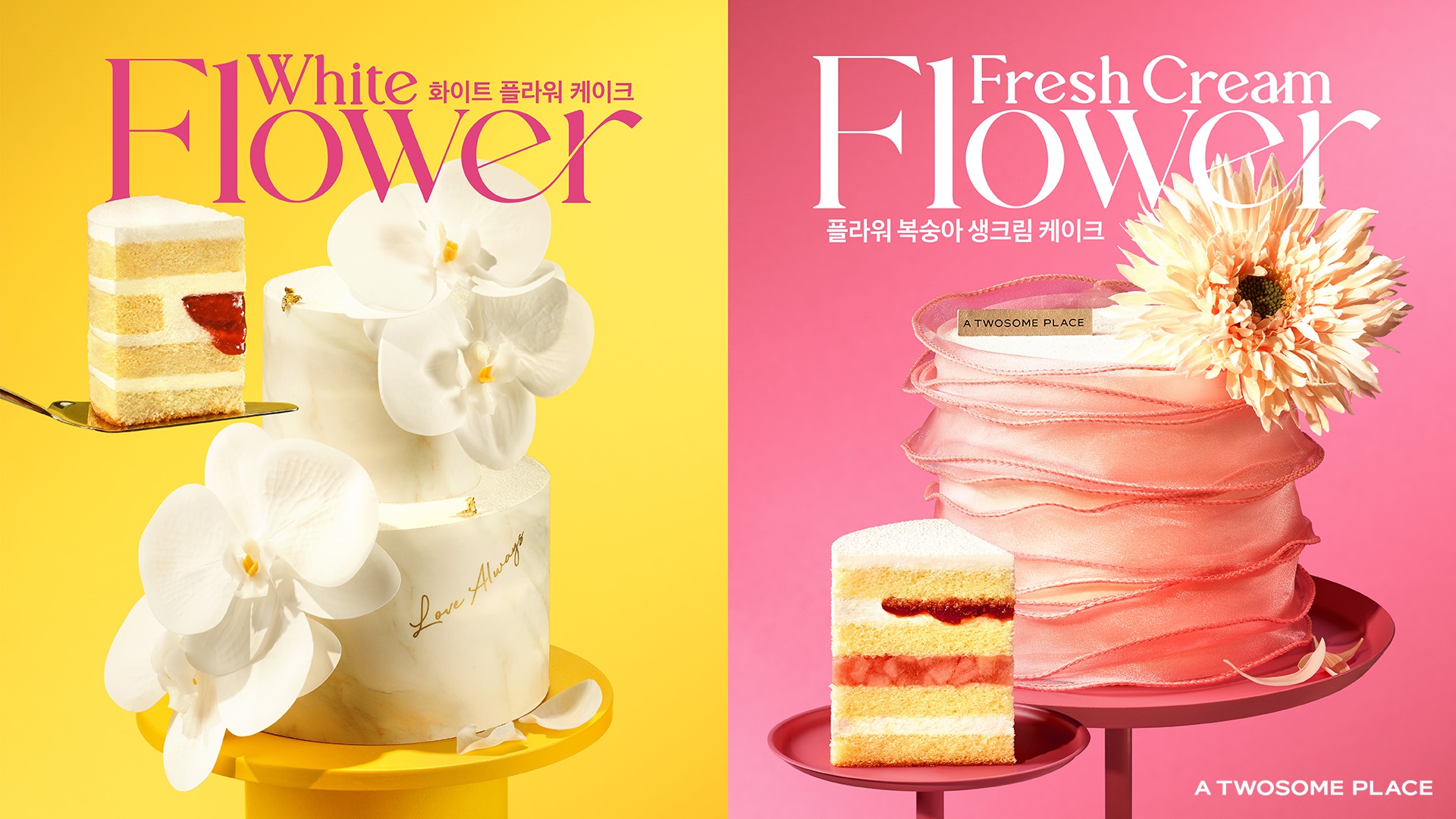 케이크 위에 핀 꽃송이 | glowup magazine - 글로우업